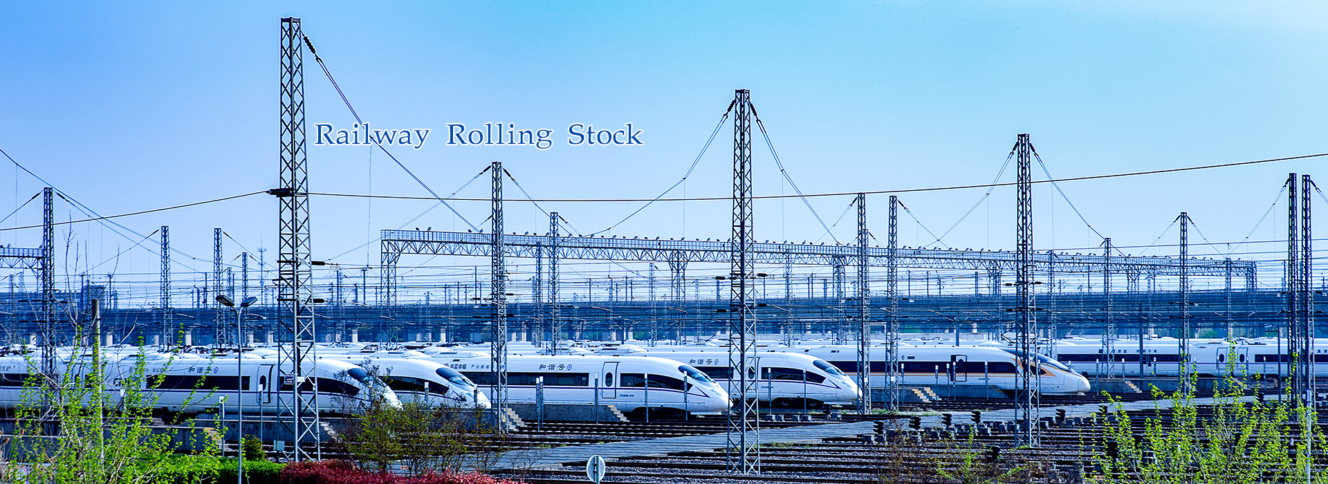 Fujian Longxi Bearing (Group) Corporation Limited